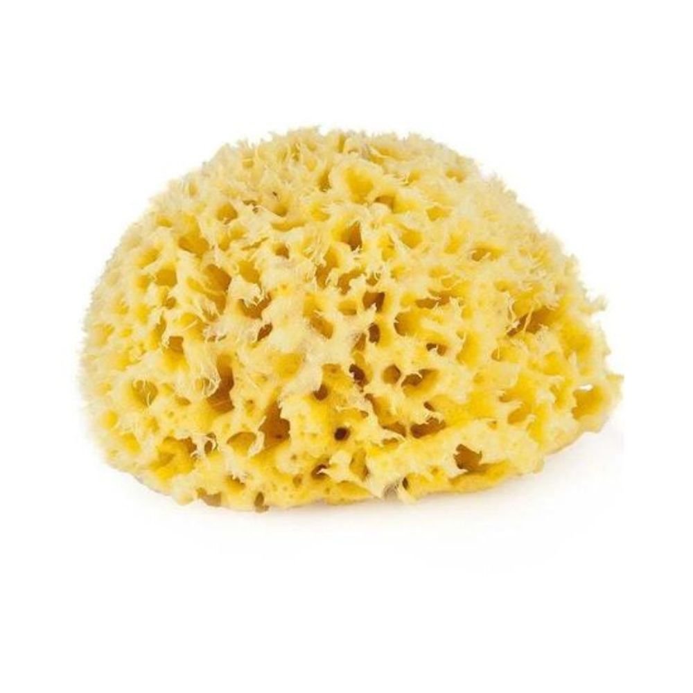 Burete natural de mare Honeycomb Spugnificio Bellini nr.8, 1 bucata, Dr ...